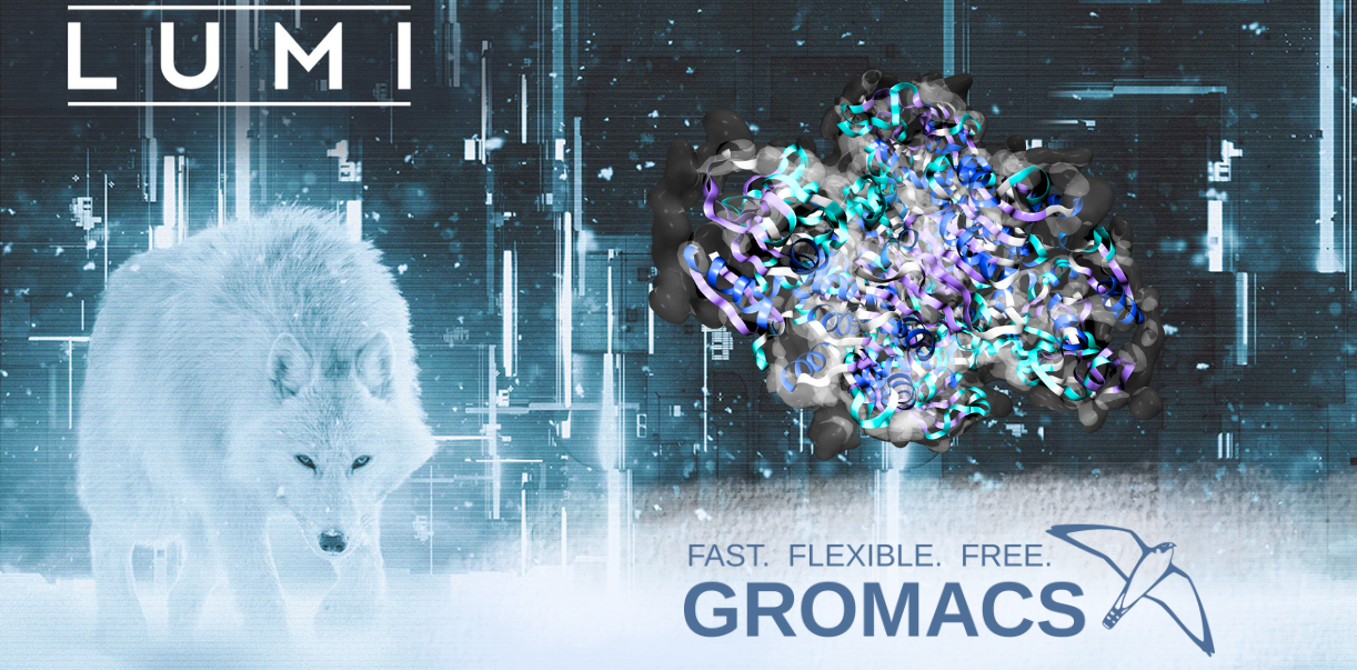 Efficient Molecular Dynamics Simulations With Gromacs On Lumi
